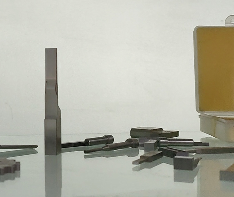 Carbide Die Inserts - Stamping Die Components
